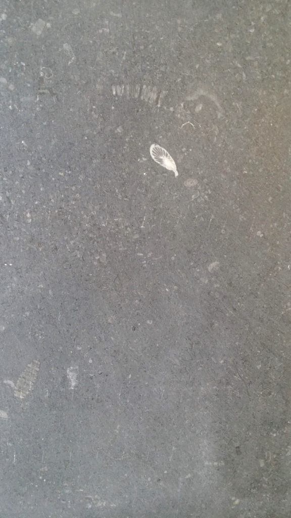 Lecarrow Limestone – honed | Murphystone